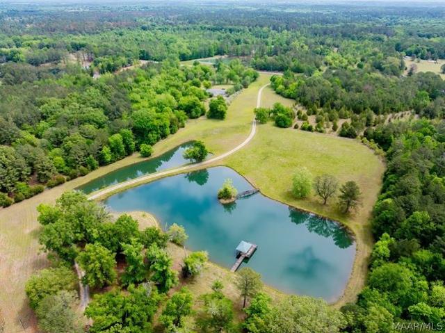 11286 Old Pike Rd, Mathews, AL 36052