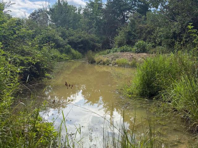11289 cowpasture river hwy