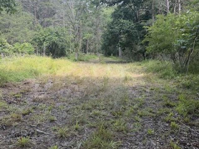 11289 Cowpasture River Hwy, Millboro, VA 24460