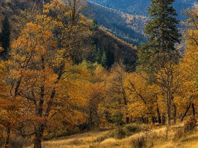 1128 Dutch Creek Rd, Yreka, CA 96097
