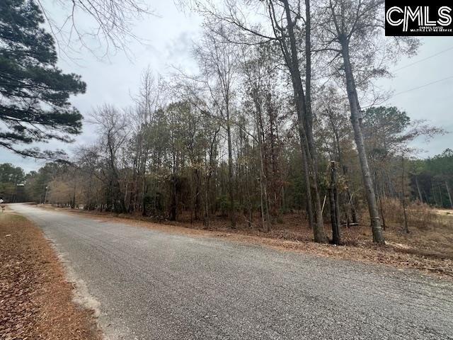 1128 Tookie Doo Ave, Elgin, SC 29045