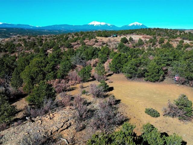 11298 Primero Ranch