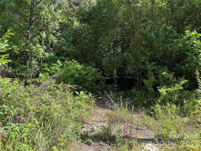 1129 Flint Street Ext, Rock Hill, SC 29730