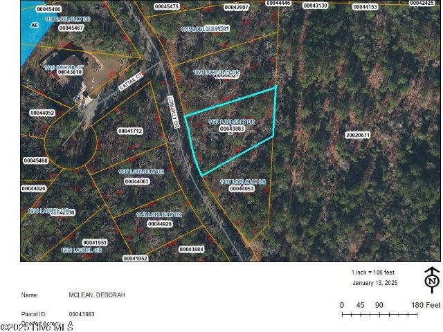 1129 Loblolly Drive