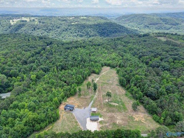 1129 Sloan Dr, Blountsville, AL 35031