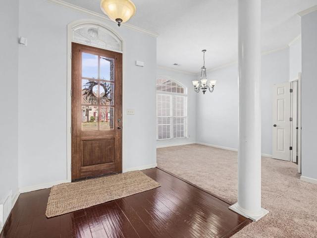 11205 carston cv