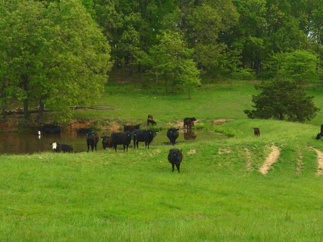 11205 Claxton Rd Road