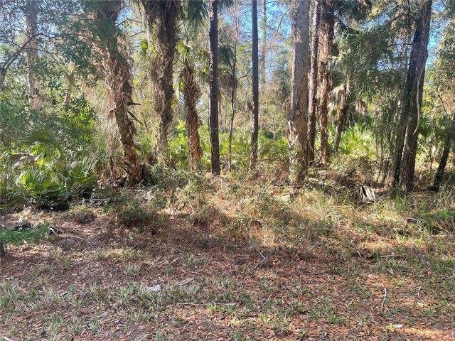 1120 NE 3rd St, Crystal River, FL 34429