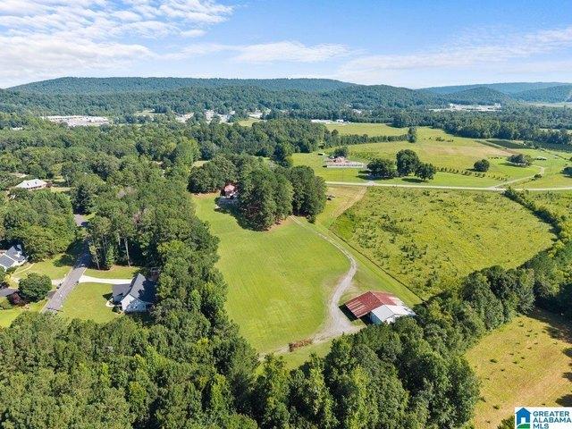 1120 Valley Rd, Oneonta, AL 35121