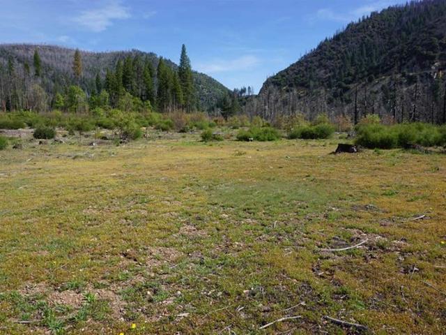 11216 Highway 89, Taylorsville, CA 95983