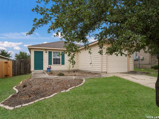 11219 Pecan Cyn