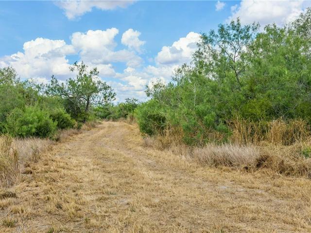 1121 County Road 481