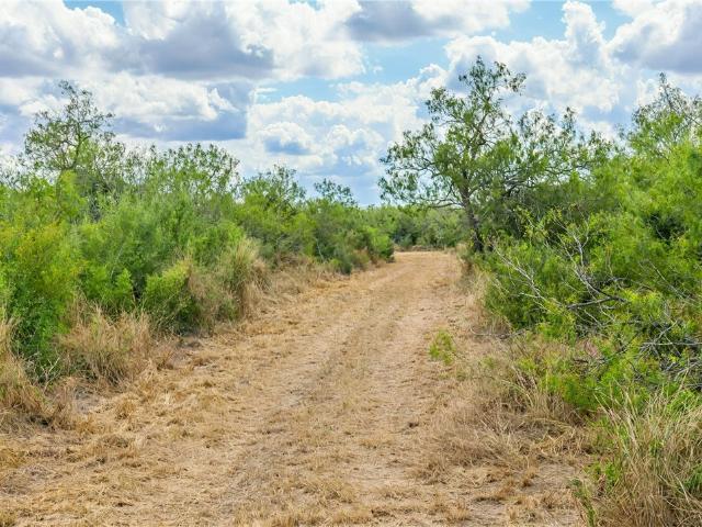 1121 County Road 481, Alice, TX 78332 | MLS #467659