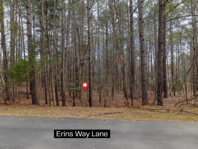 1121 Erins Way Lane
