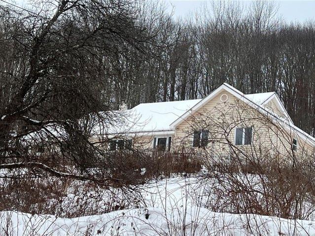 1121 Kiff Brook Rd, Kortright, NY 13739