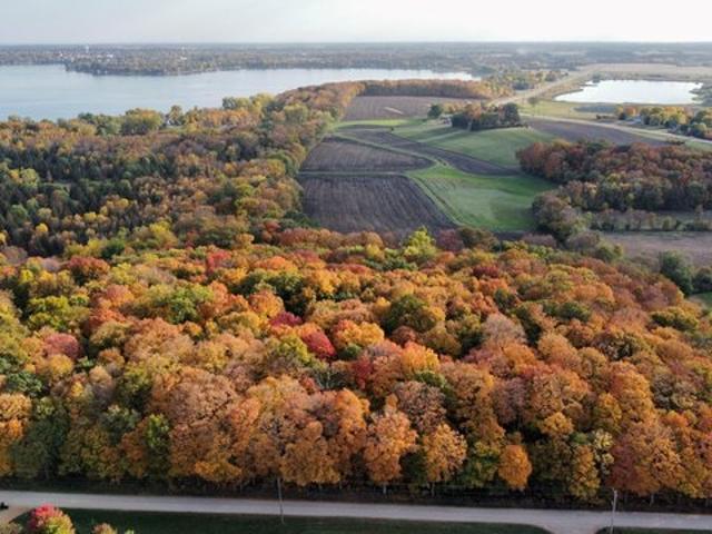 1121 th St, Waconia, MN 55387