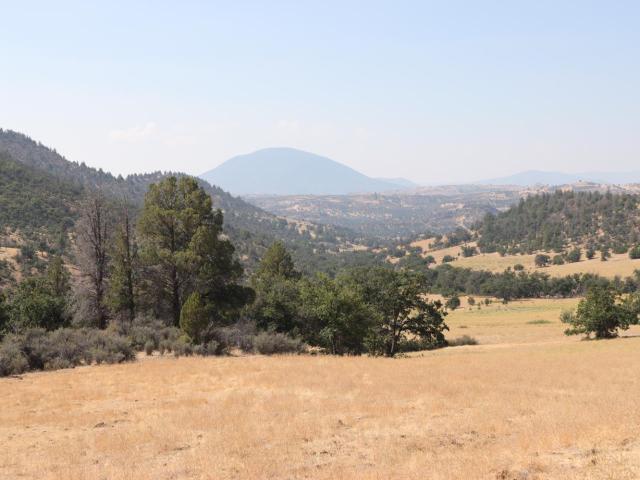 11220 Yellow Dog Trail, Hornbrook, CA 96044 | MLS #226026 | Compass