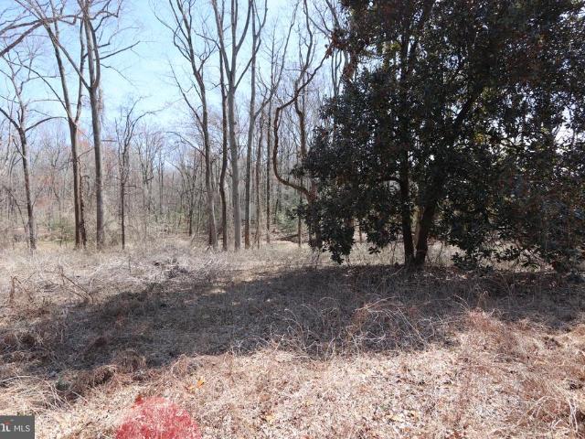 11225 Raby Road
