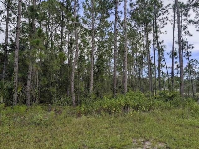 1122 Poinciana Dr, Indian Lake Estates, FL 33855