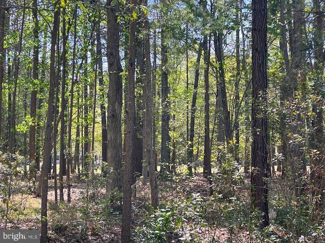 11235 Annabelle Dr, Issue, MD 20645 | MLS #MDCH2053