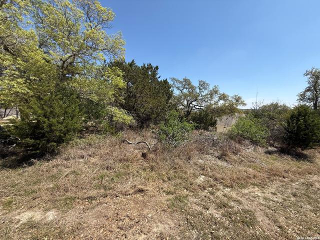 1123 Alta Vista Ln, Canyon Lake, TX 78133 | MLS #1952