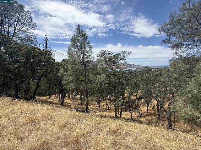 1123 Steele Canyon Rd, Napa, CA 94558