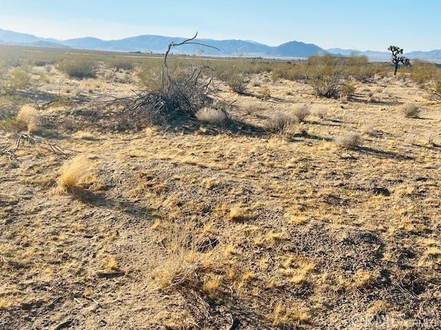 112 Colusa Rd, Apple Valley, CA 92307 | MLS #HD25186