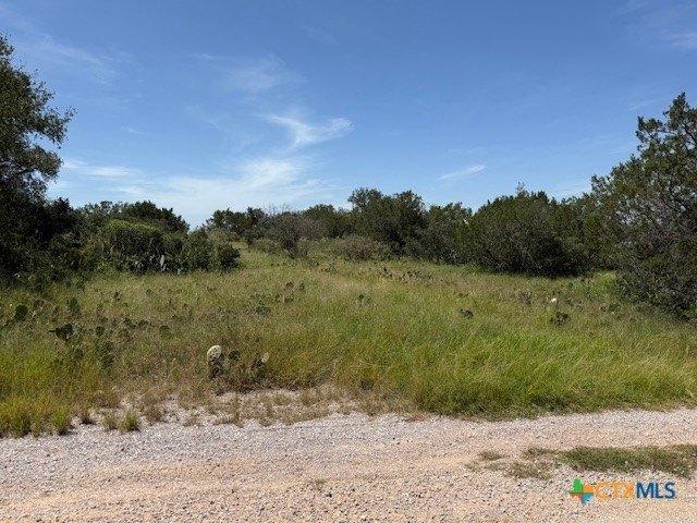 112 Chappel St Lot 161, Burnet, TX 78611