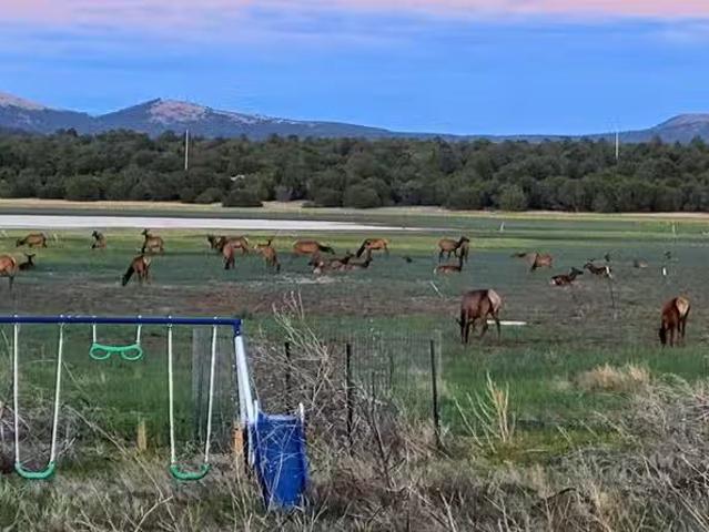 112 Acr 3398, Vernon, AZ 85940 MLS 6747222