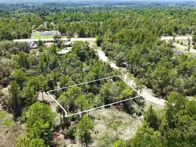 112 Brass St, Interlachen, FL 32148