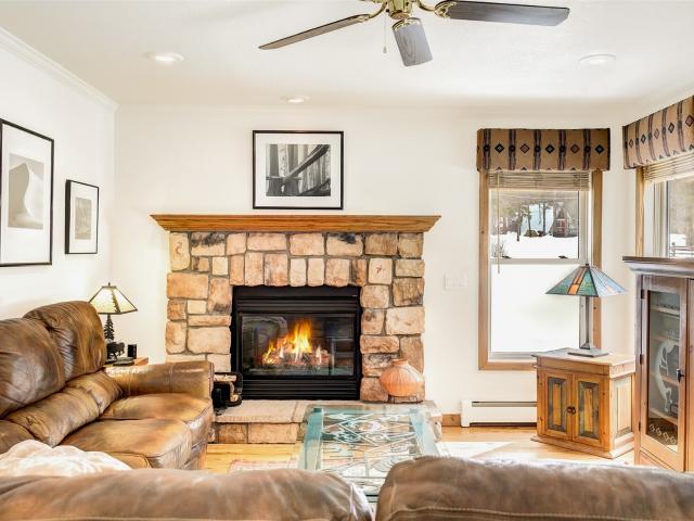 112 Grey Squirrel Ln, Blue River, CO 80424 | MLS #S1066