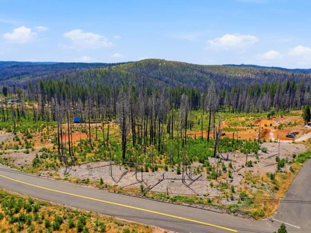 112 Grizzly Flat Rd, Grizzly Flats, CA 95636