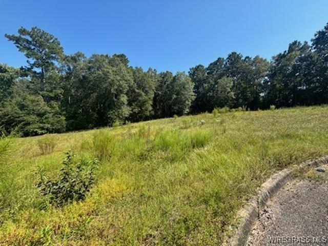 112 Eagle Trace Court