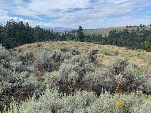 112 Lautenburg Dr, Fort Garland, CO 81133