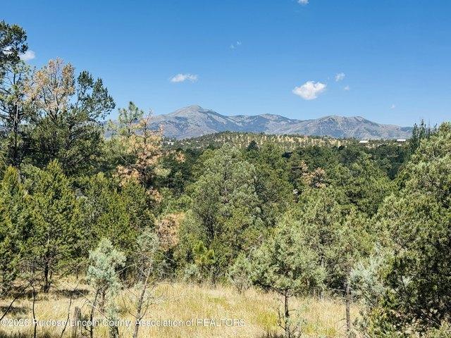 112 Moccasin Trl Lots 11 & 12, Ruidoso, NM 88345