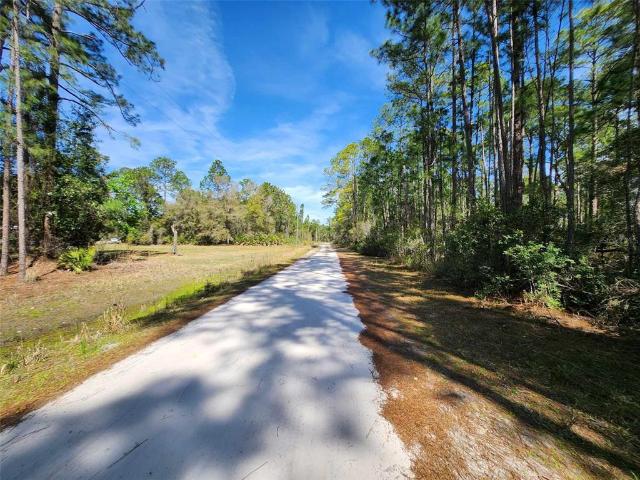 112 Mosswood St, Georgetown, FL 32139 | MLS #FC308376