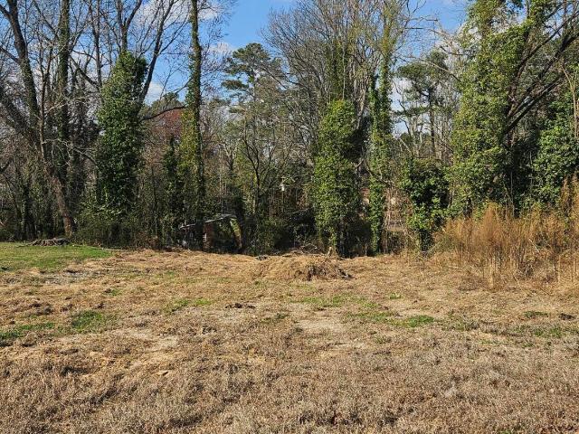 112 Pine Ave, Holly Springs, NC 27540 | MLS #10151