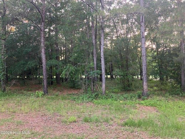112 River Stone Run Dr Lot RS56, Wallace, NC 28466
