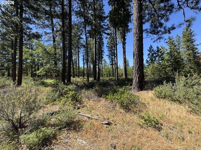 112 Timber Rd, Roosevelt, WA 99356