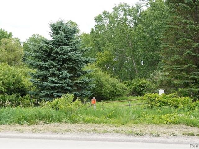 11349 Hogan Rd, Fenton, MI 48436