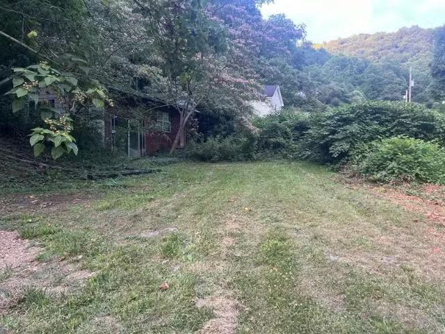 1134 Barrenshee Creek, Belfry, KY 41514 648729638