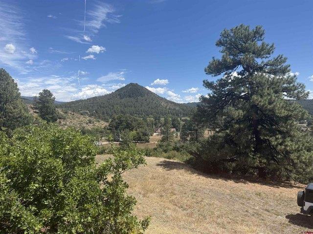 1134 Ludwig Dr, Bayfield, CO 81122