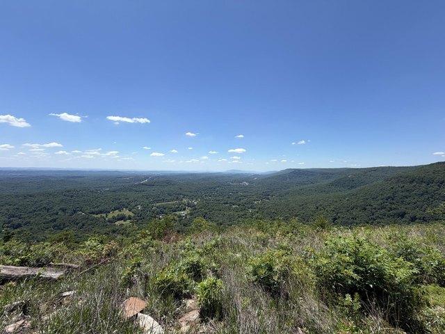 1134 Ransom Point Rd, Signal Mountain, TN 37377