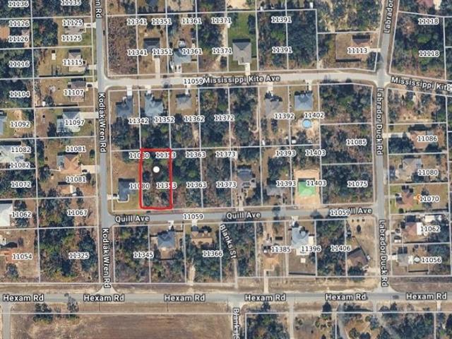 11353 Quill Ave, Brooksville, FL 34614 | MLS #W7884 | Compass