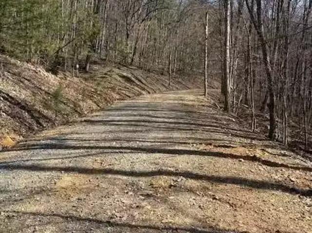 1135 Embry Ct, Ranger, GA 30734 MLS 7546022