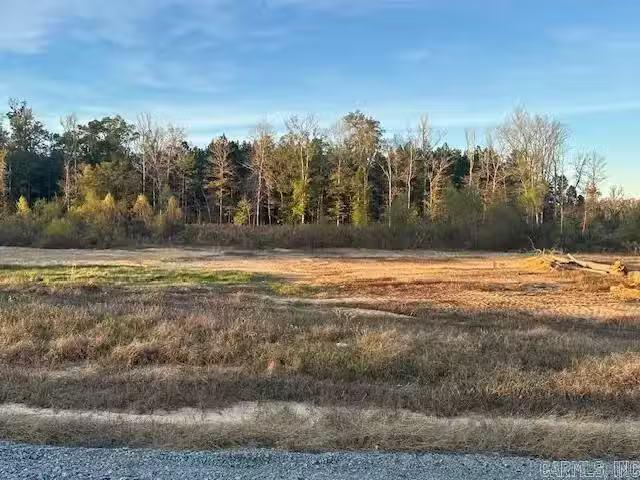 1136 DUKE DRIVE, BAUXITE, AR 72011