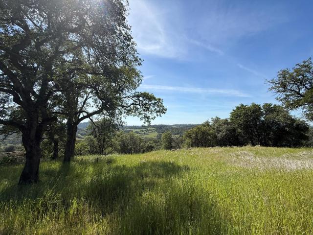 11370 Chanterelle Ln, Smartsville, CA 95977 | MLS #226045