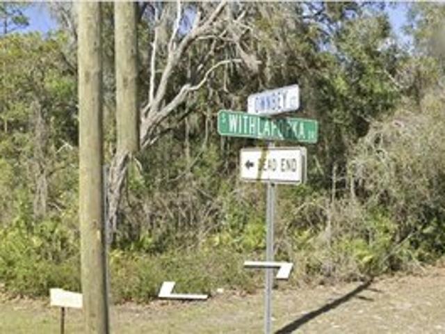 11375 E Ownbey Ct, Floral City, FL 34436