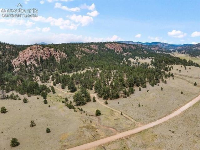 1137 County Rd 111, Florissant, CO 80816