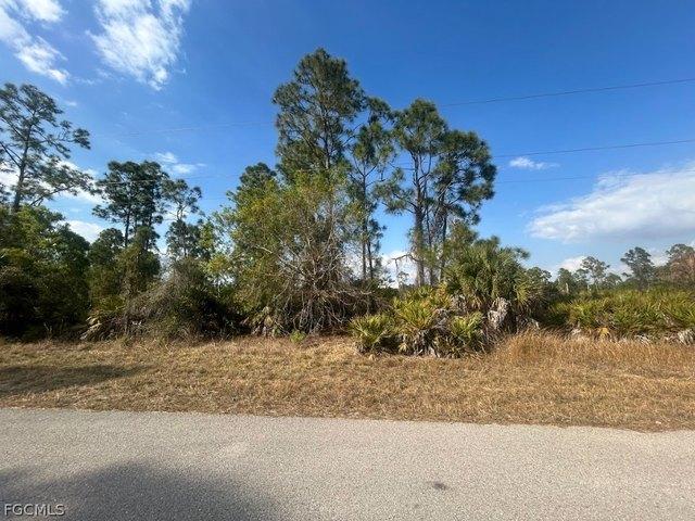 1137 Crestwood St E, Lehigh Acres, FL 33974